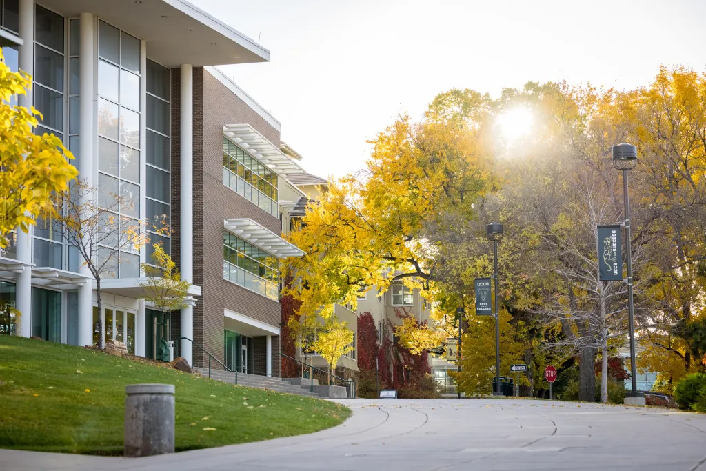 Complete Your Degree | UCCS