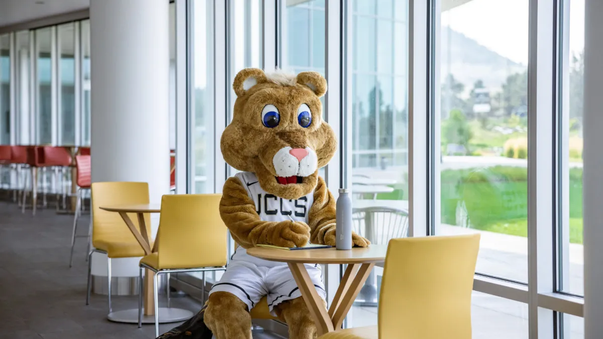 Thank You for Submitting Your Form | UCCS